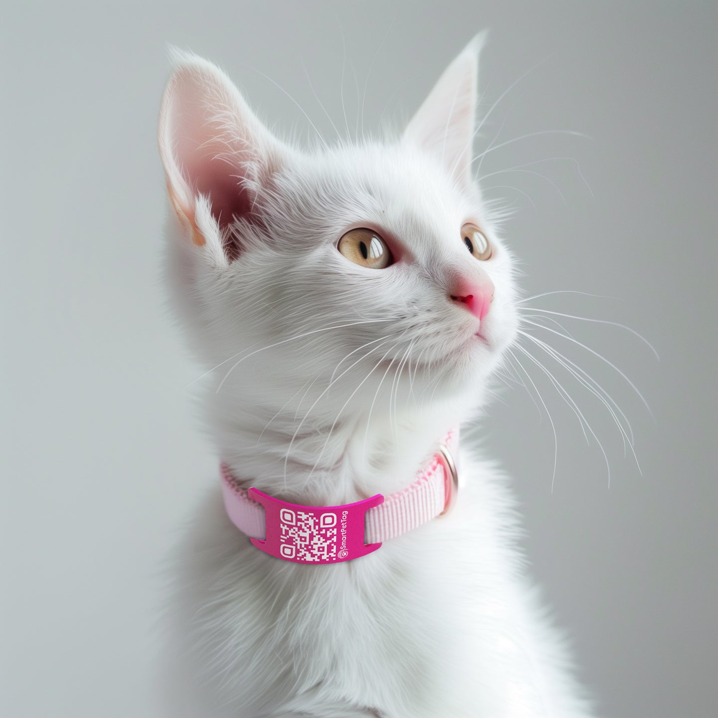 Smart Pet Tag